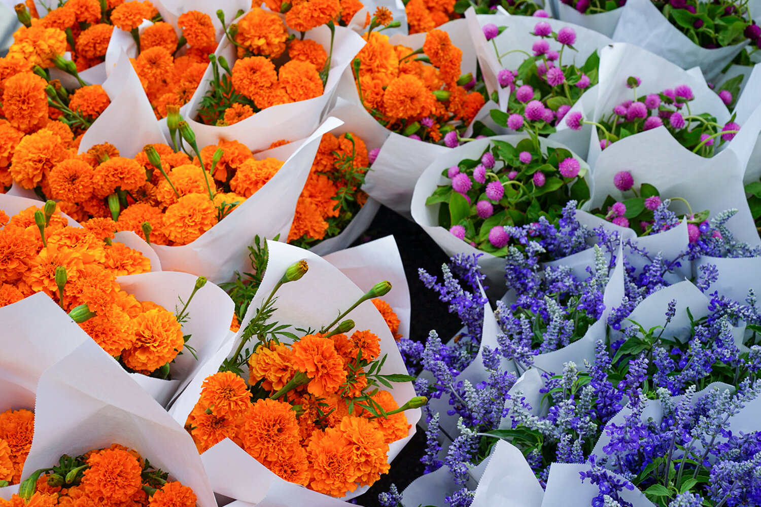 Blossom + Stem Floral Design