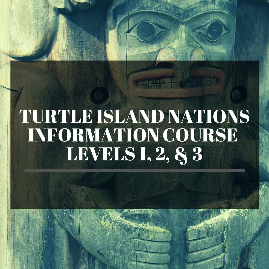 Online Education — Redhawk Native American Arts Council