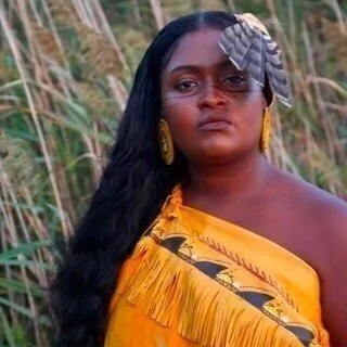Artists — Redhawk Native American Arts Council