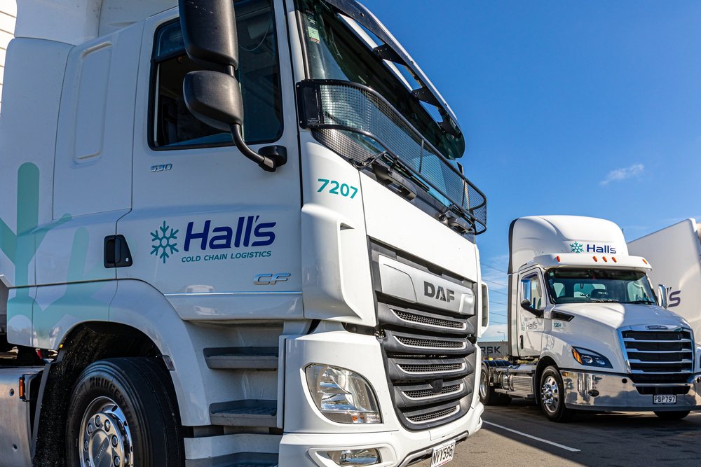 About the Company — Halls Group Ltd