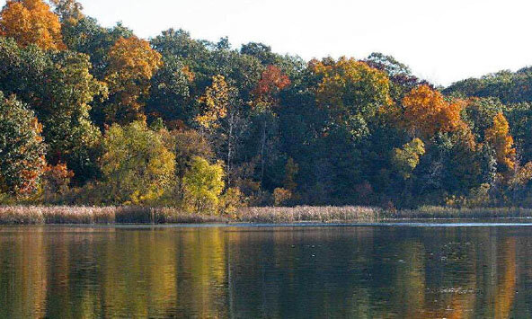 Water Quality in the Preserve — Asylum Lake Preservation Association