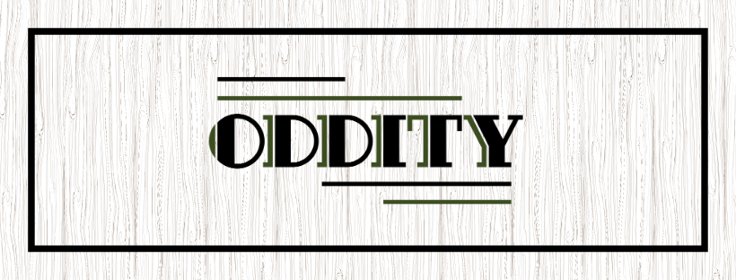 Oddity Studio — The Salon