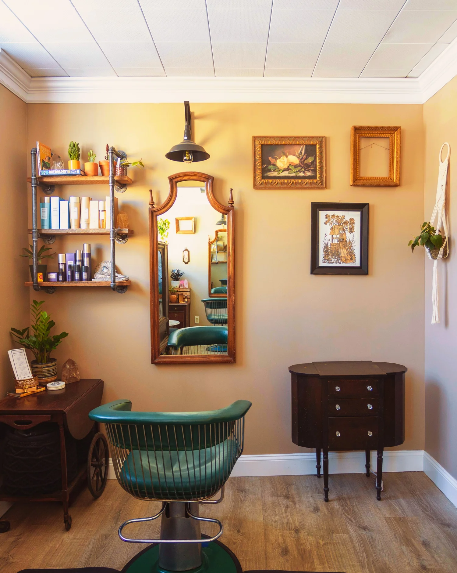 Oddity Studio — The Salon