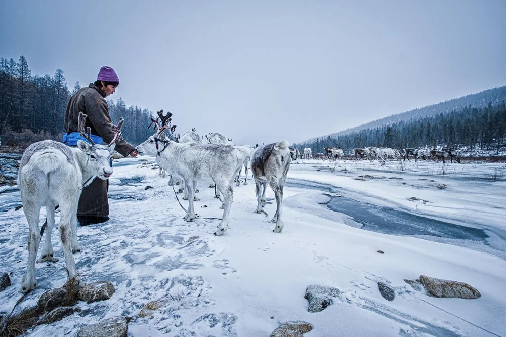 TSAATAN OF THE TAIGA | Earth Soul Images | Contemporary photography by ...