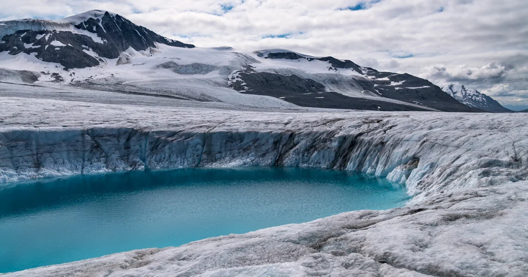 Denali Hostel & Cabins
