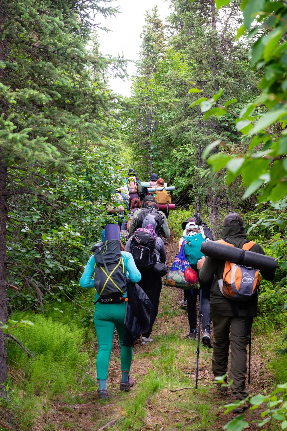 What to Pack for Your Denali National Park Vacation — Denali Hostel ...
