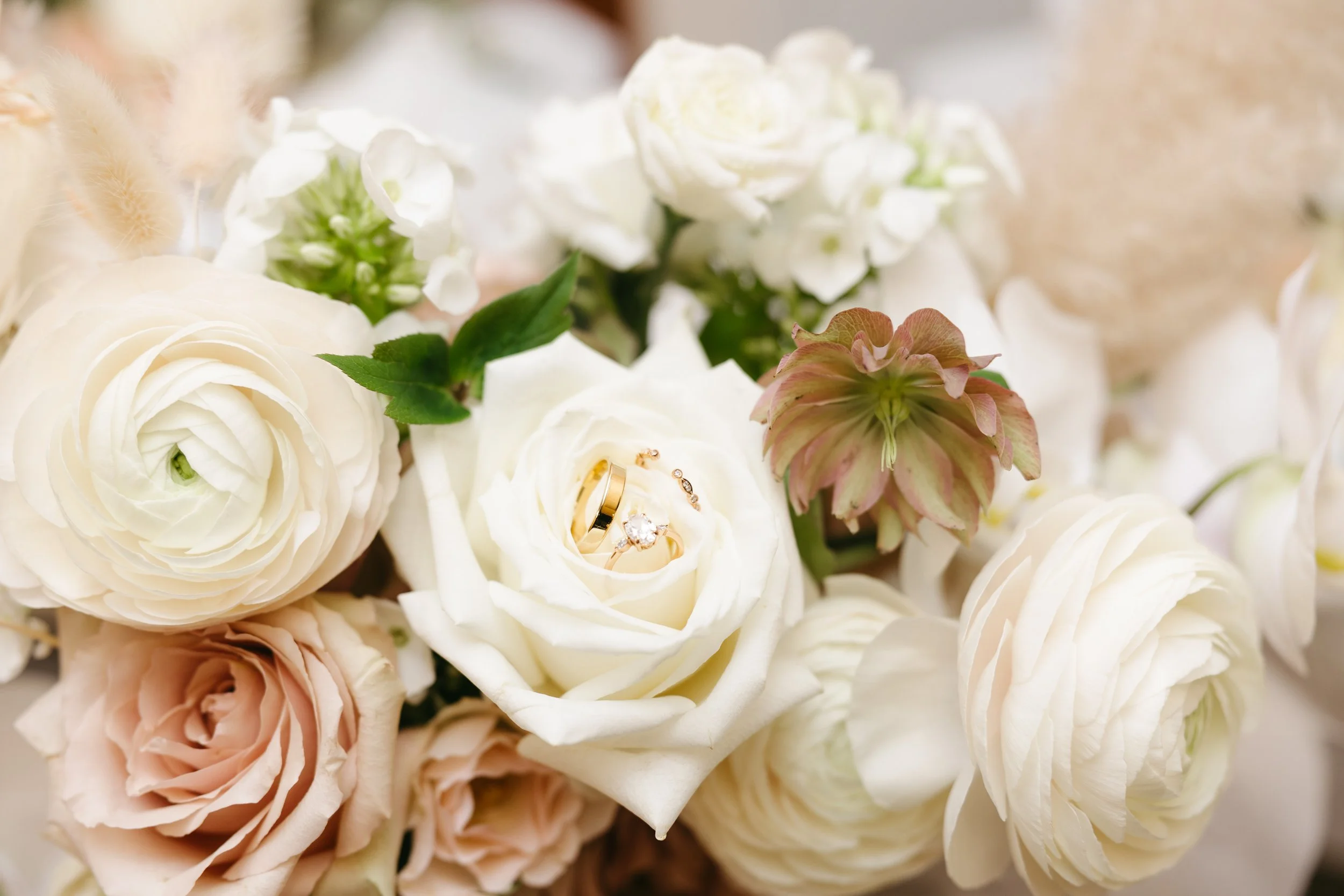 Love Grows Here — CANADIAN BRIDE GUIDE