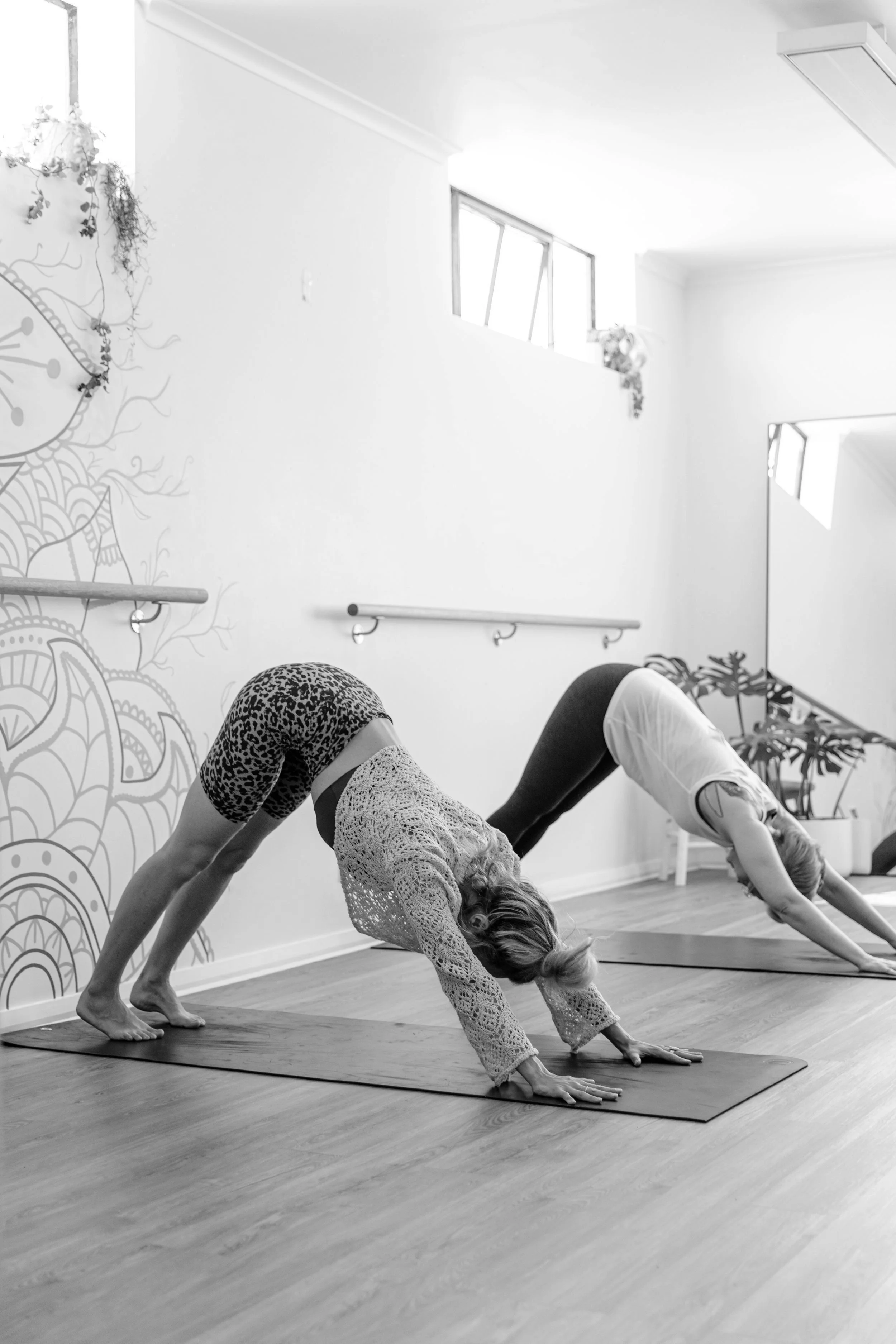 classes — The Yoga Loft