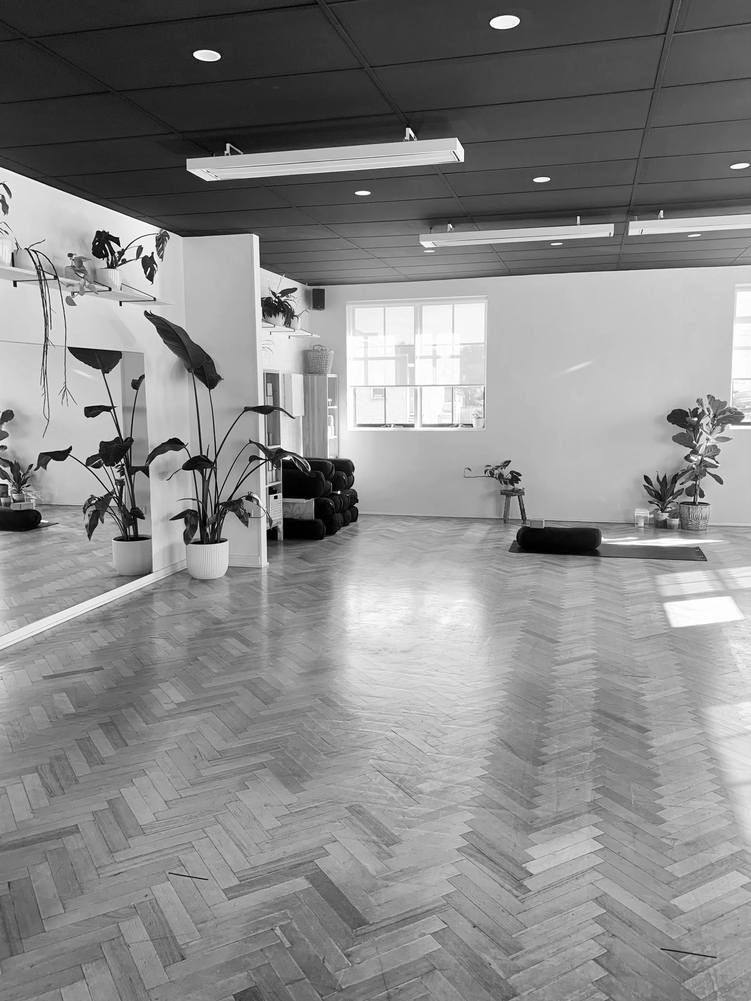 classes — The Yoga Loft