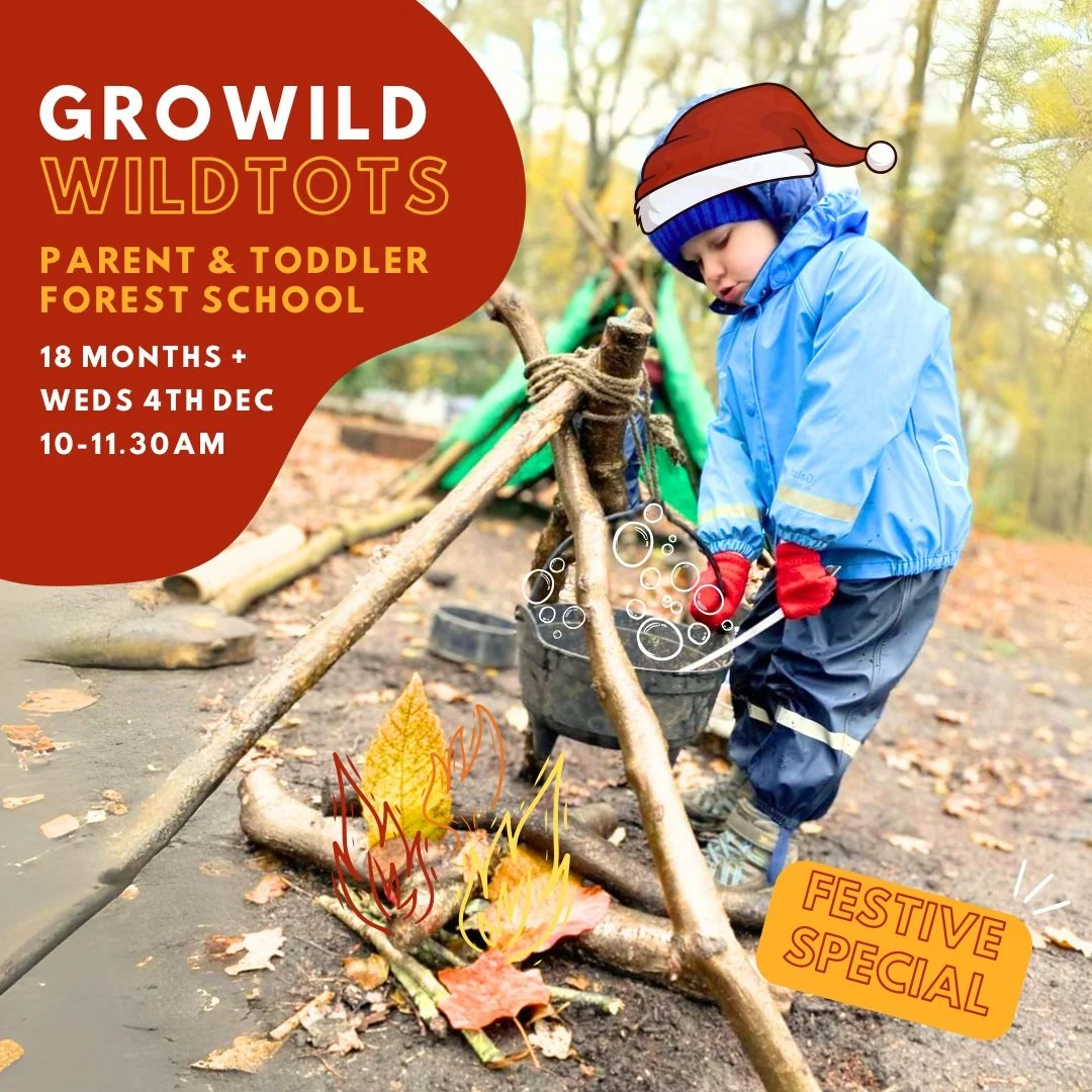 Wild Tots | Parent & Toddler Forest School Group | Norwich | Growild ...