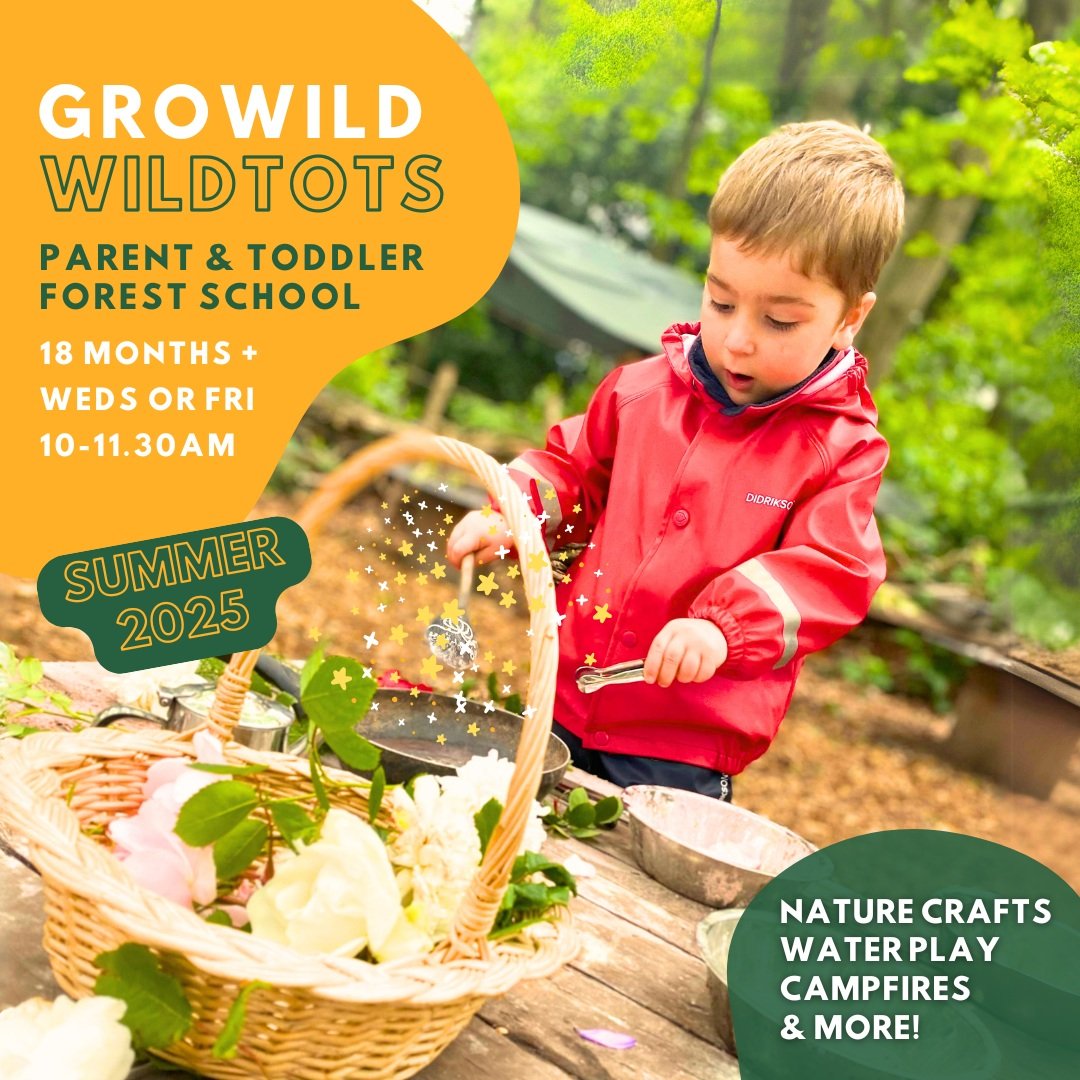 Wild Tots | Parent & Toddler Forest School Group | Norwich | Growild ...