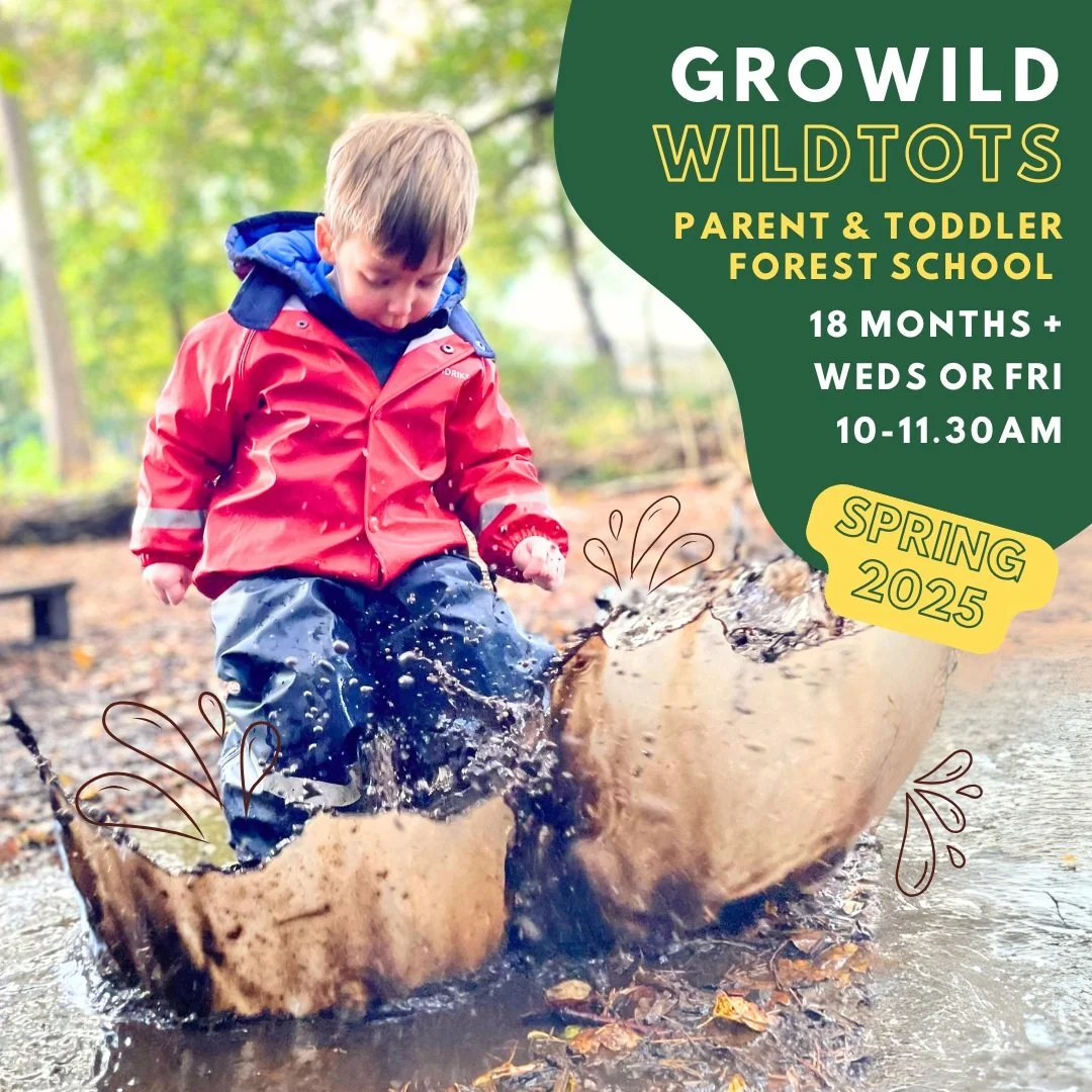 Wild Tots | Parent & Toddler Forest School Group | Norwich | Growild ...