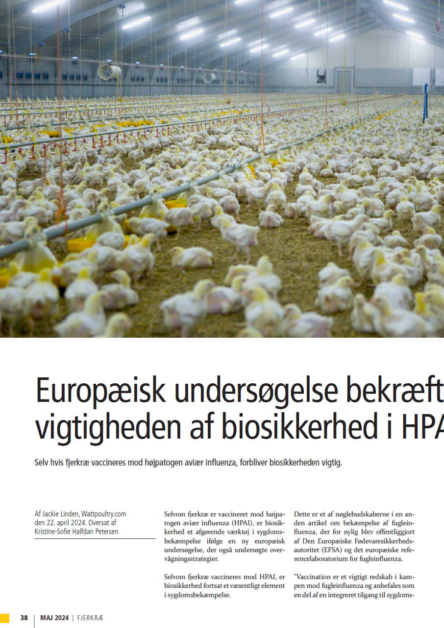 Europæisk undersøgelse bekræfter vigtigheden af biosikkerhed i HPAI-kontrol — Dansk Fjerkræ