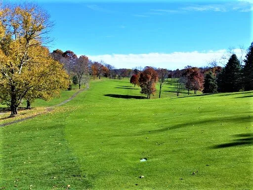 Team Wink — Meadowink Golf Course