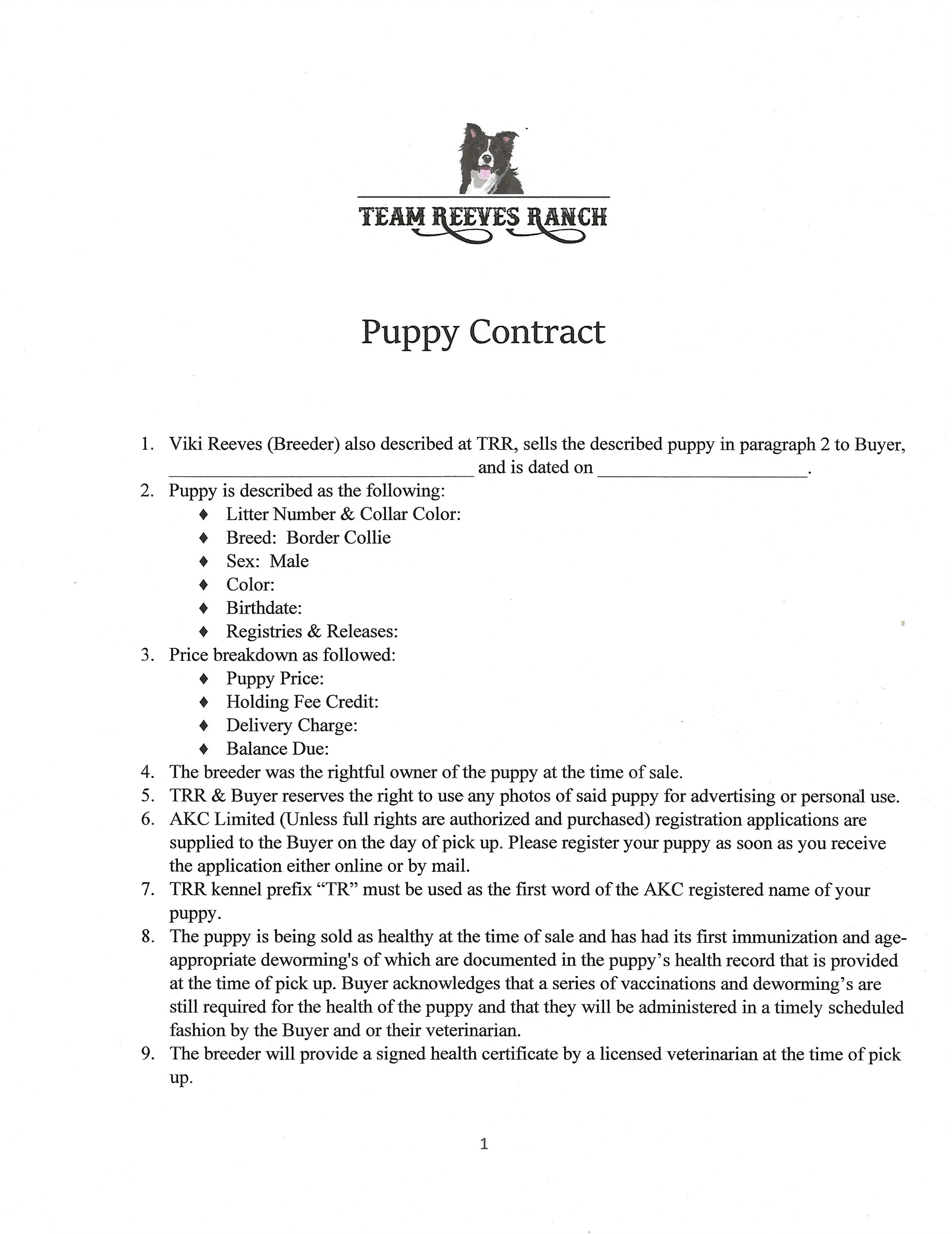 Contract Page Border