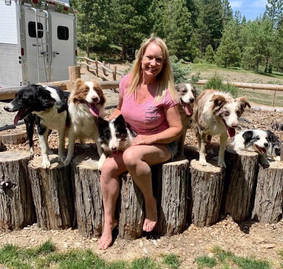 Top Quality Border Collies | Team Reeves Ranch