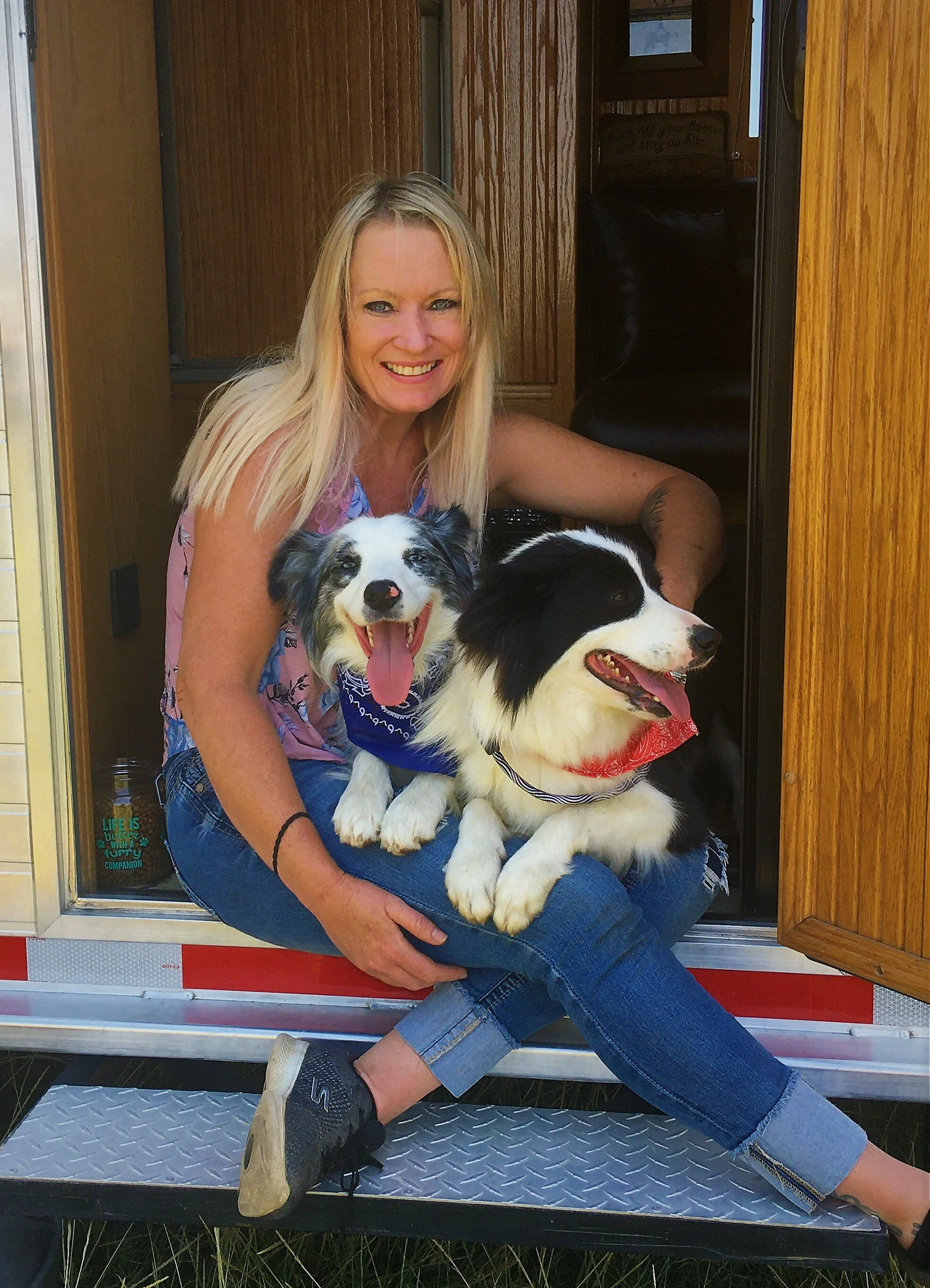 Top Quality Border Collies | Team Reeves Ranch