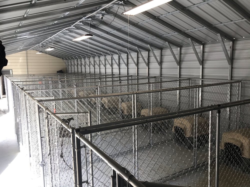 Team Reeves Ranch Puppies Available Now — Team Reeves Ranch