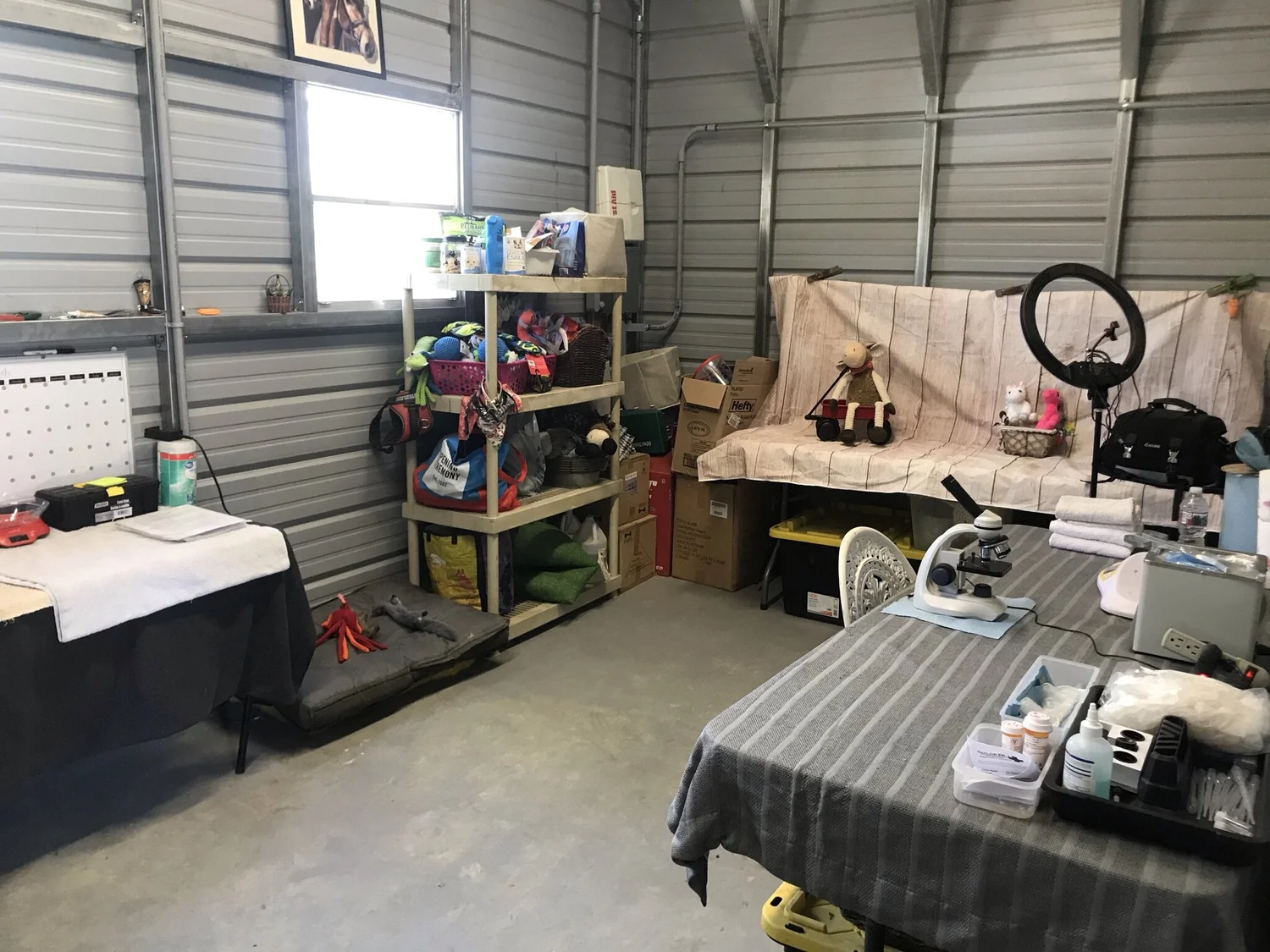 Team Reeves Ranch Puppies Available Now — Team Reeves Ranch