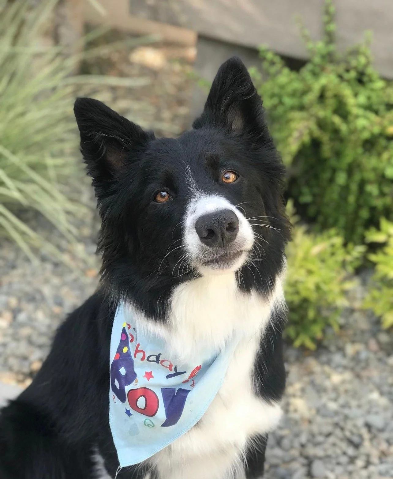 Then and Now Photos — Team Reeves Ranch