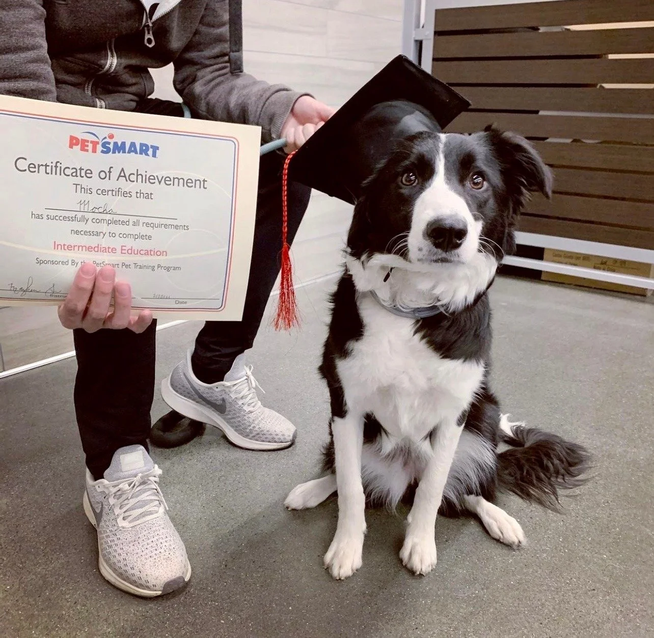 General 3 — Team Reeves Ranch