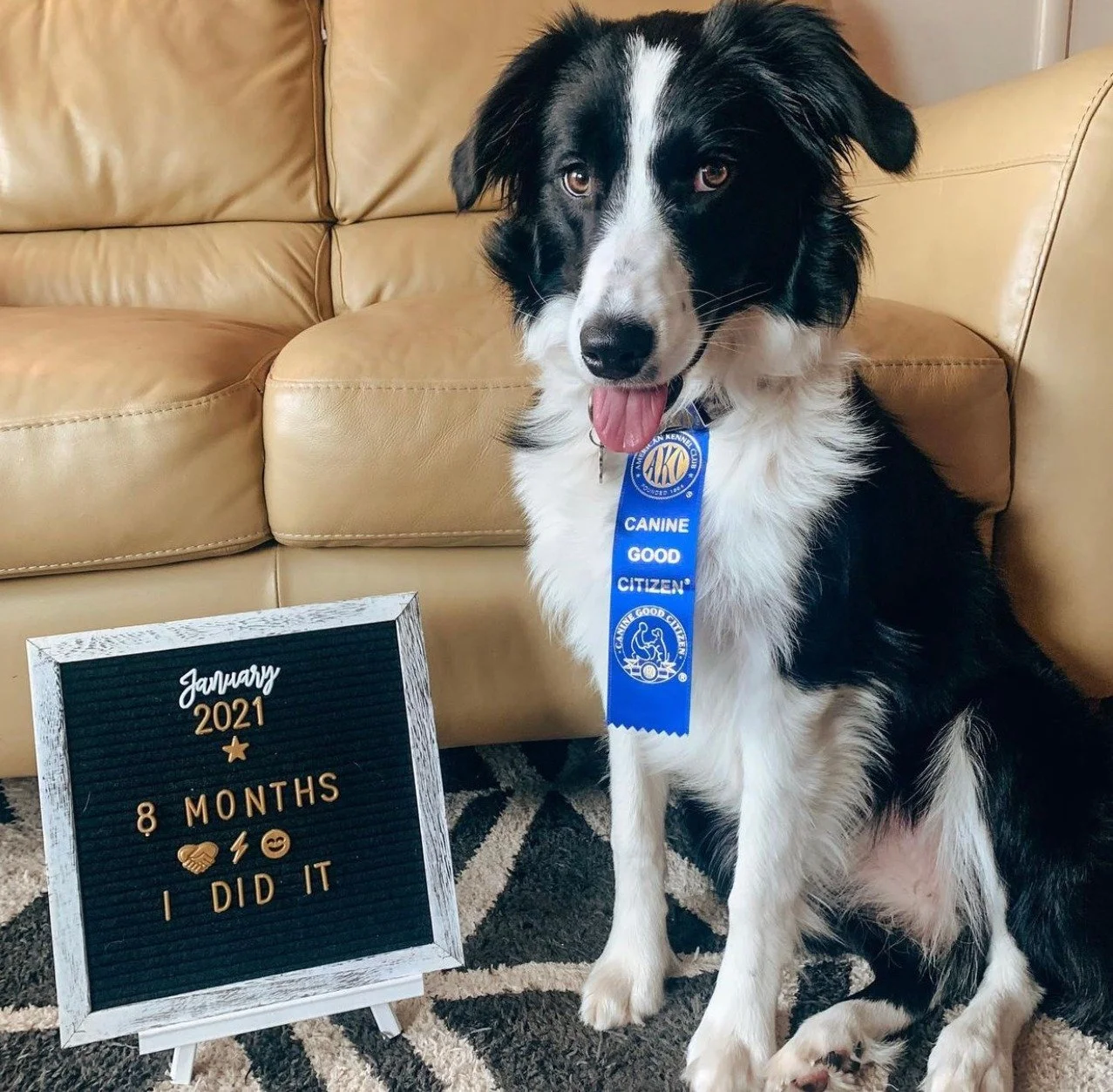 General 3 — Team Reeves Ranch