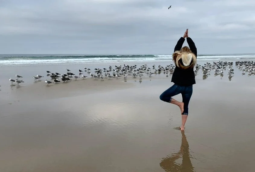 General 3 — Team Reeves Ranch