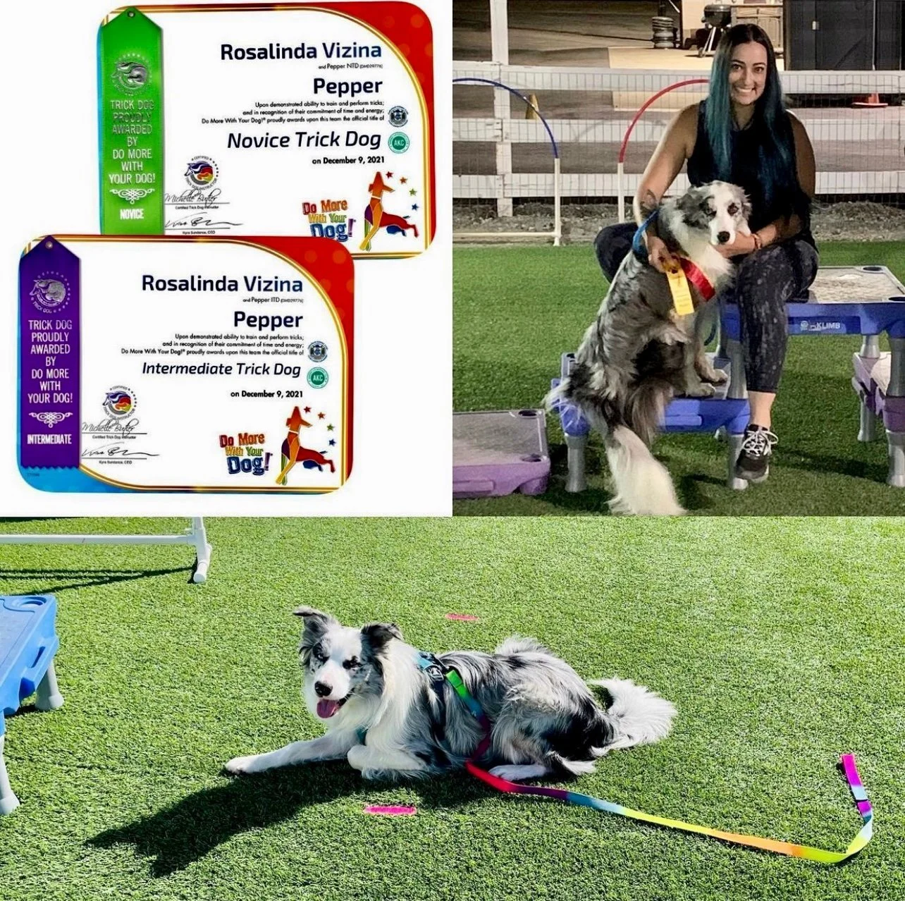 General 3 — Team Reeves Ranch