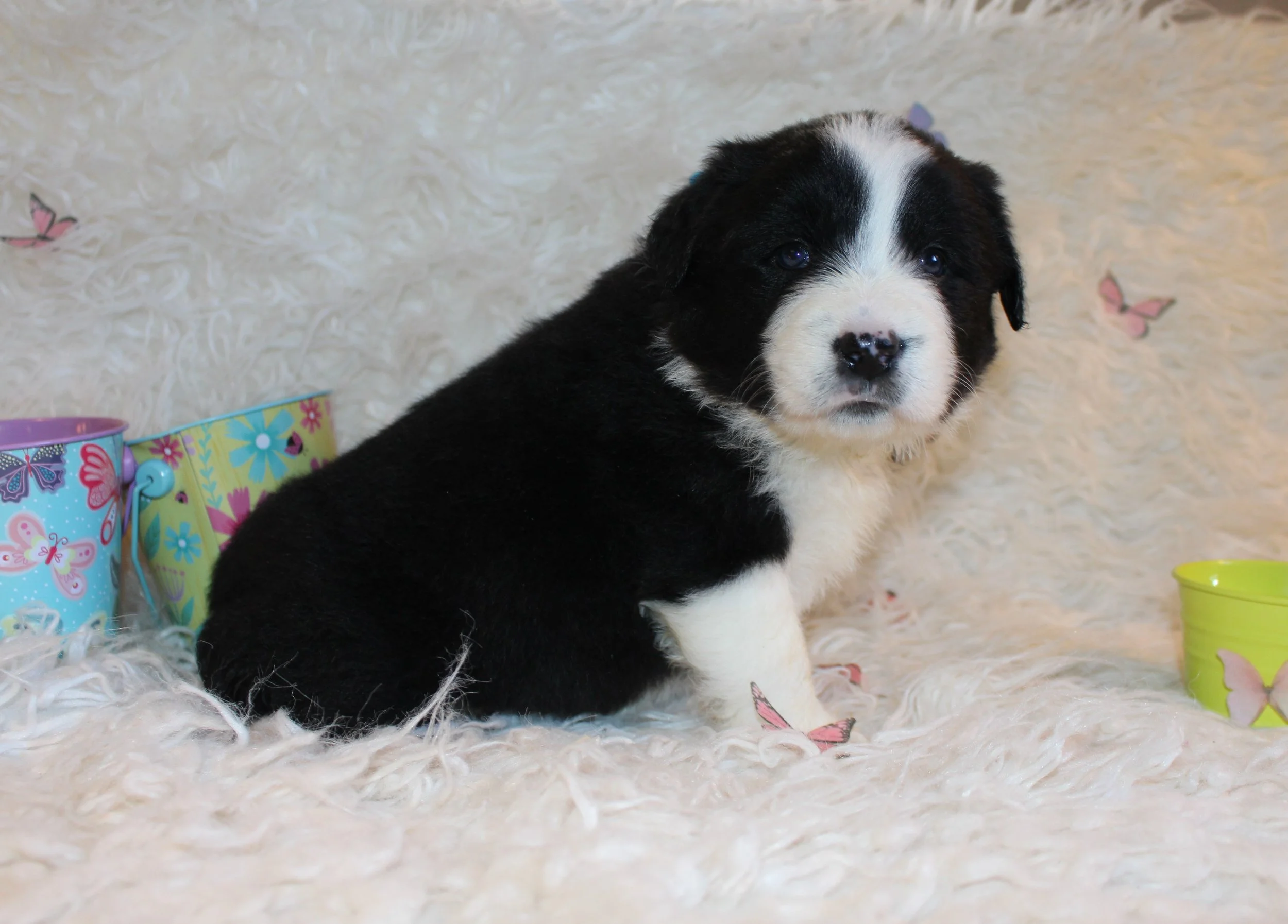 Then and Now Photos — Team Reeves Ranch