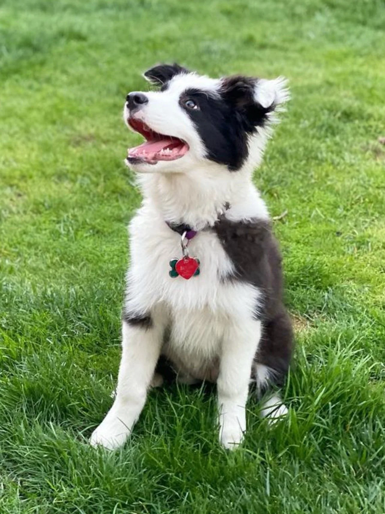 Then and Now Photos — Team Reeves Ranch