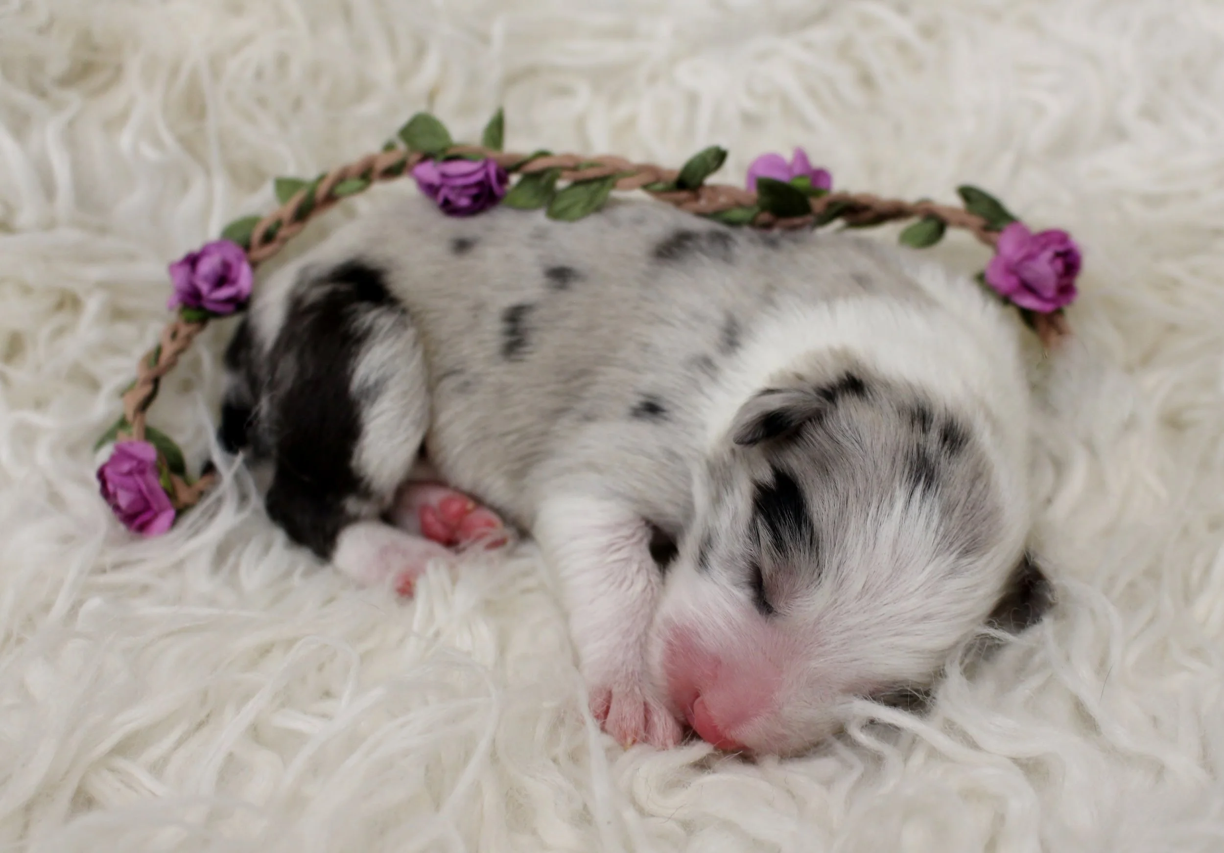 Then and Now Photos — Team Reeves Ranch