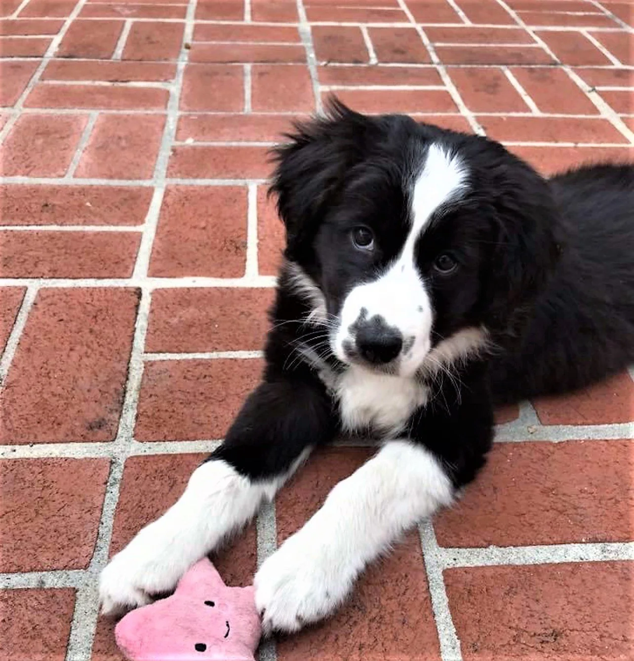 Then and Now Photos — Team Reeves Ranch