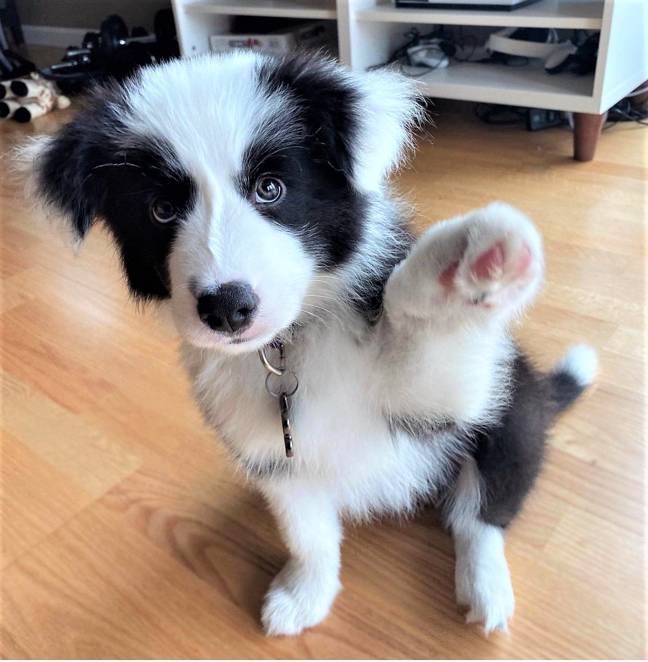 General 3 — Team Reeves Ranch