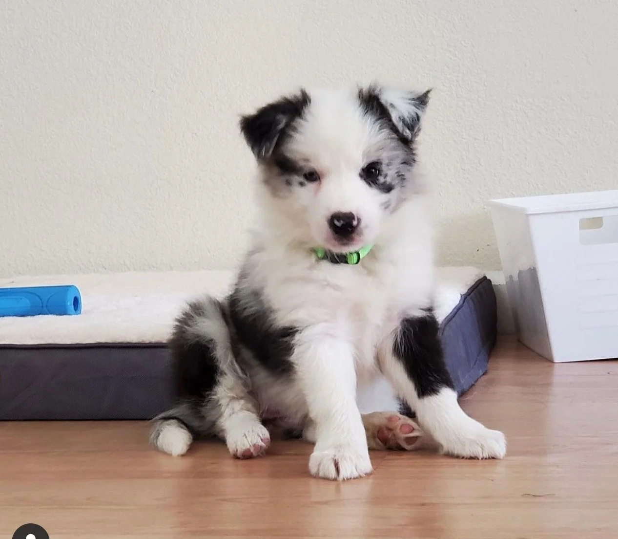 Then and Now Photos — Team Reeves Ranch