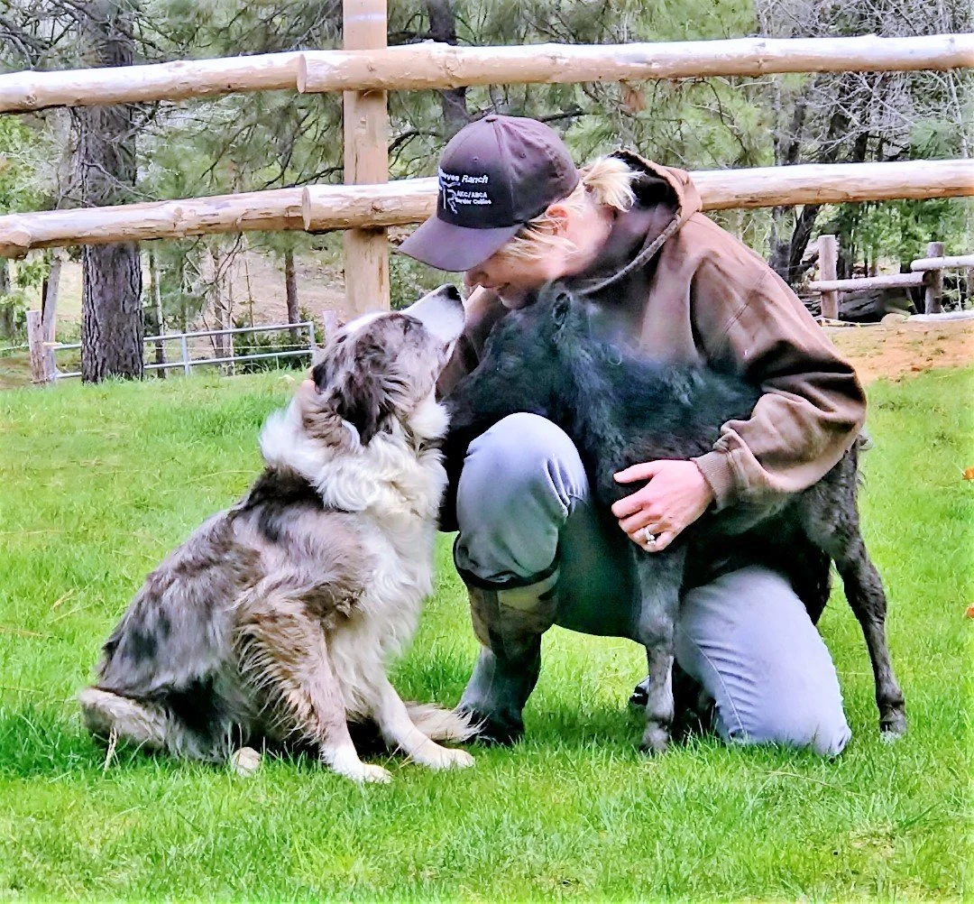 Team Reeves Ranch Puppies Available Now — Team Reeves Ranch