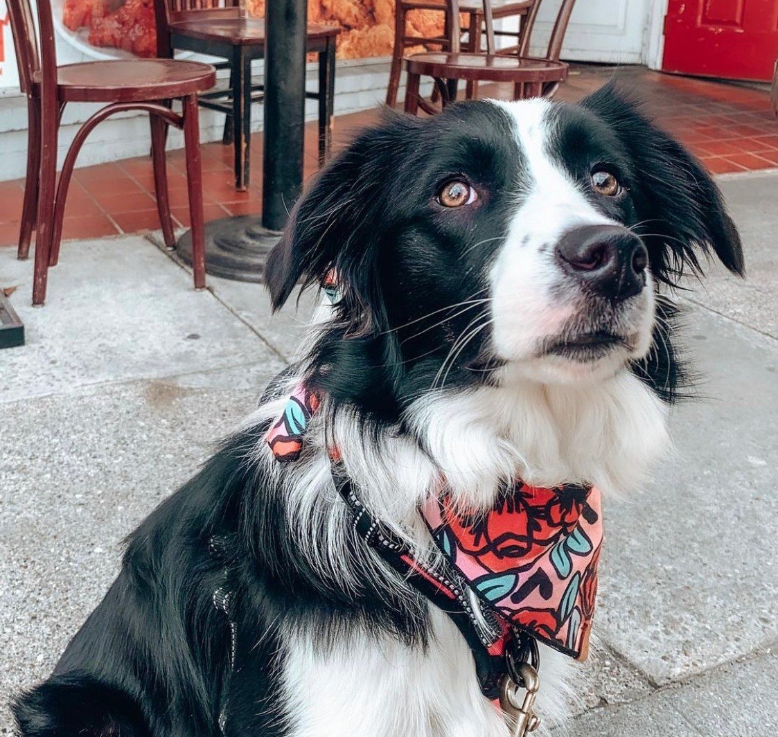 Then and Now Photos — Team Reeves Ranch