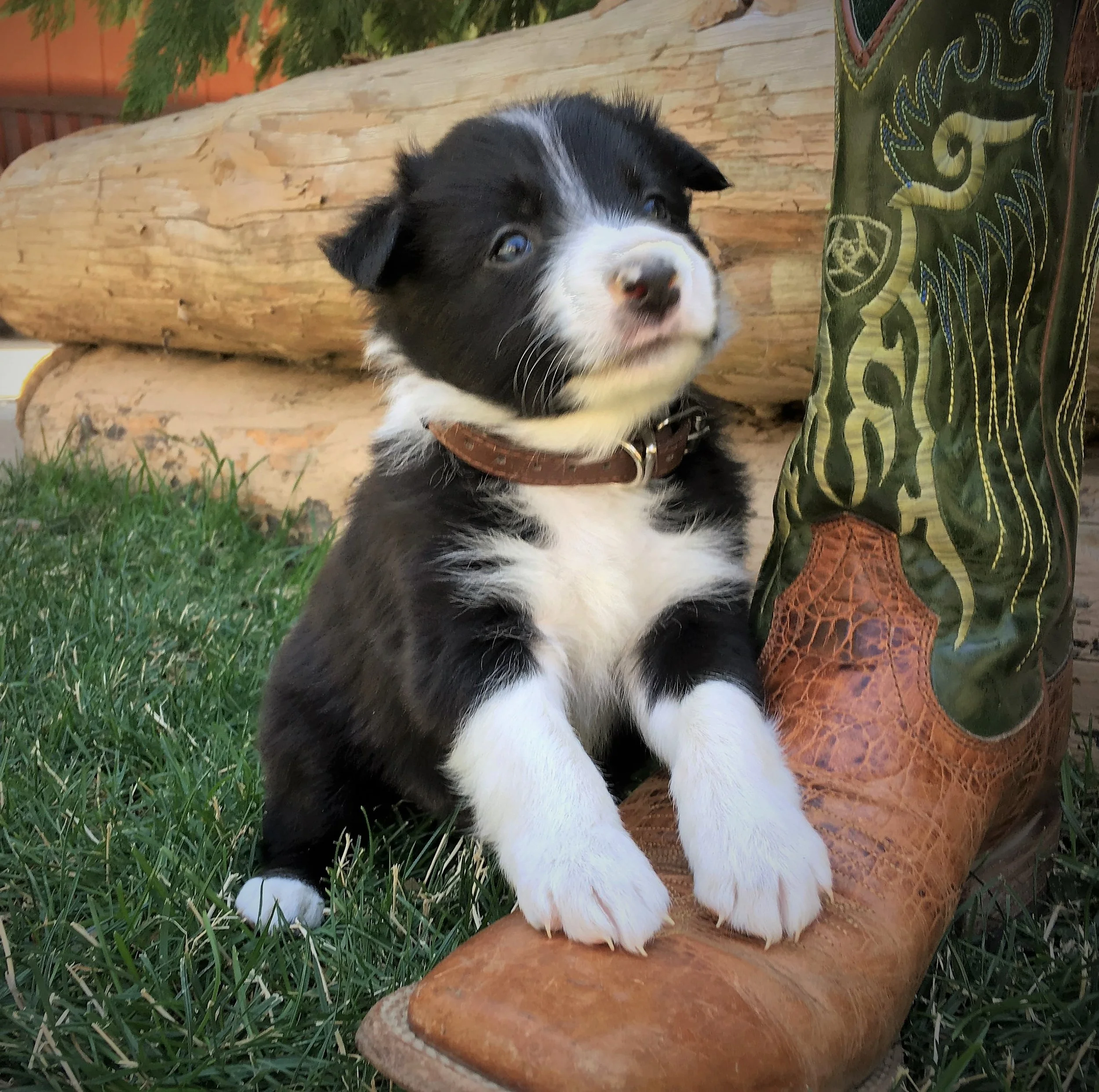 Then and Now Photos — Team Reeves Ranch