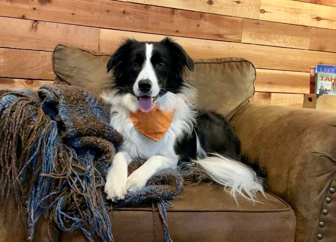 Then and Now Photos — Team Reeves Ranch