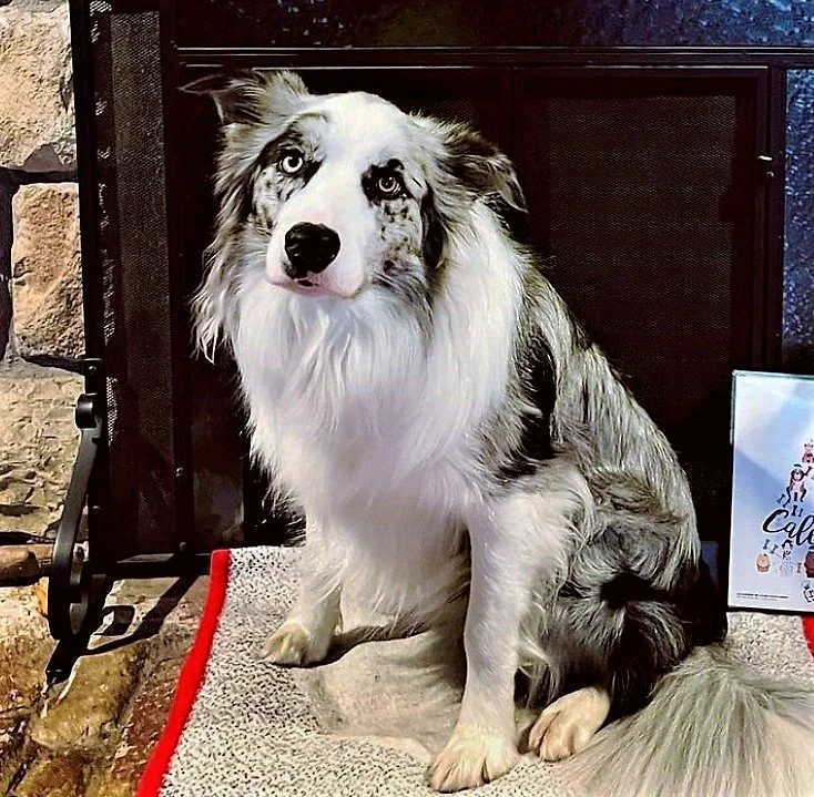 Then and Now Photos — Team Reeves Ranch