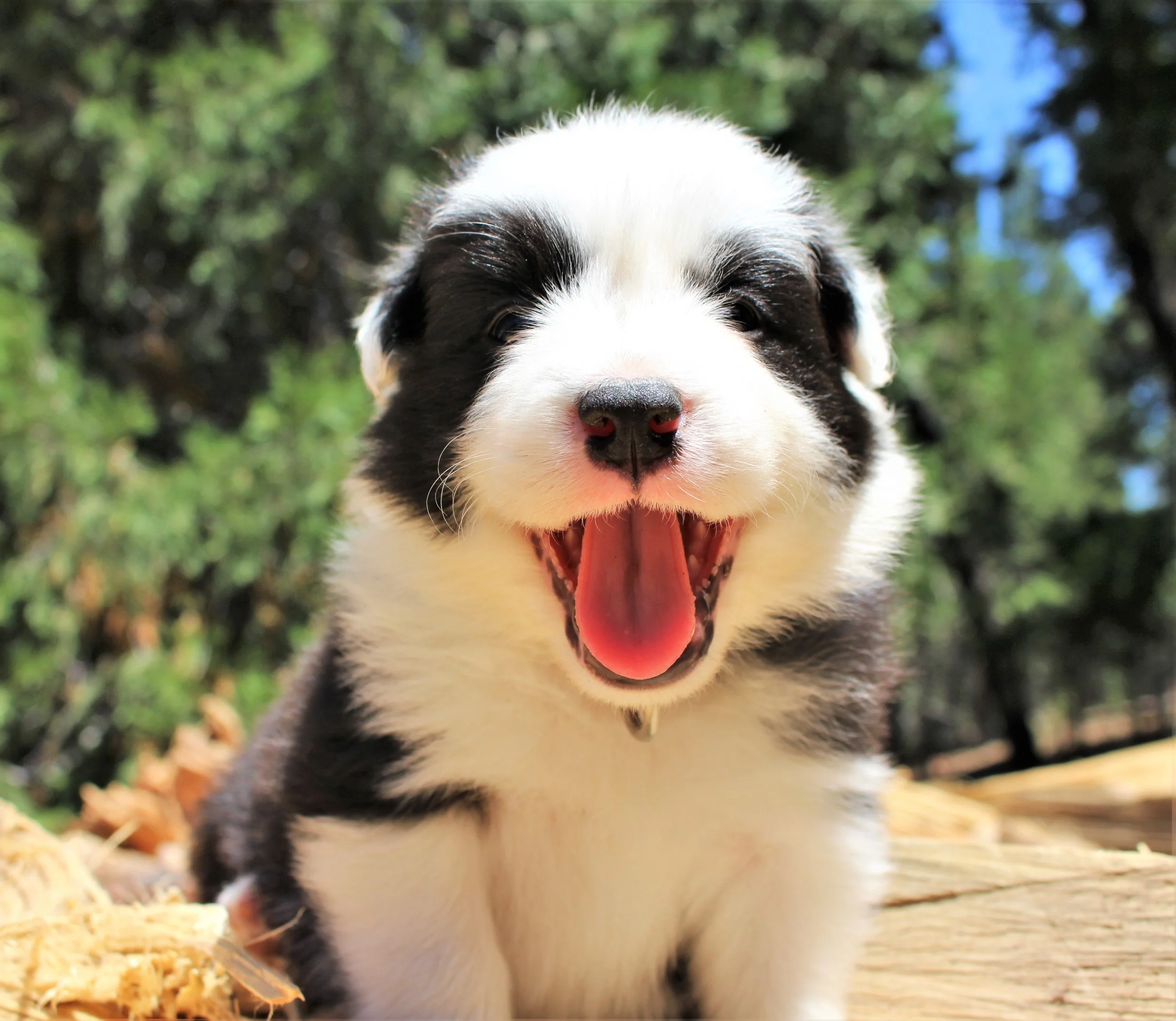 Then and Now Photos — Team Reeves Ranch