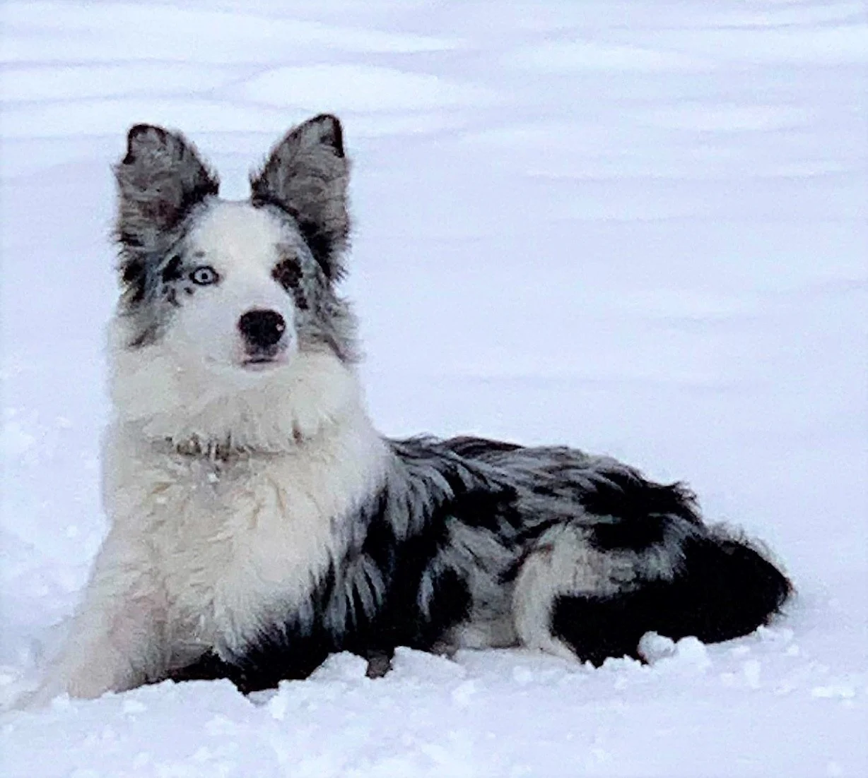 Then and Now Photos — Team Reeves Ranch