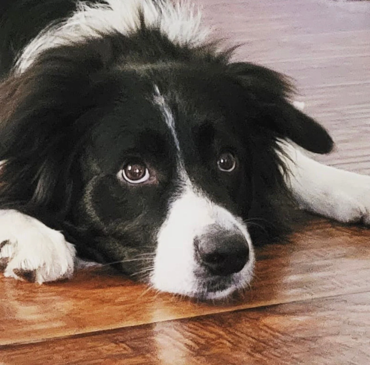 Then and Now Photos — Team Reeves Ranch