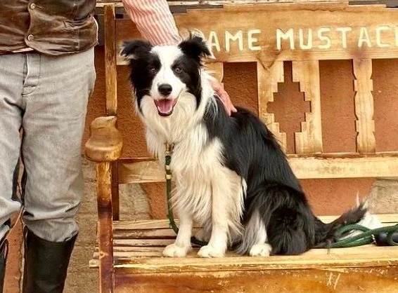 Then and Now Photos — Team Reeves Ranch