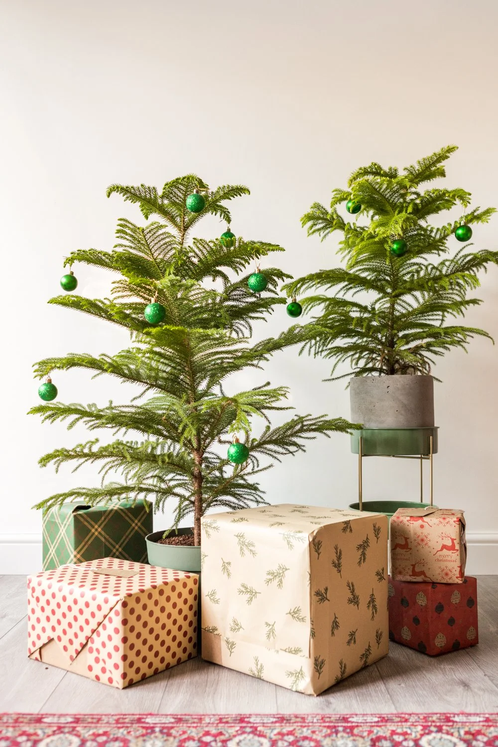 Festive Fix: Forever Tree for Xmas — PEXMAS