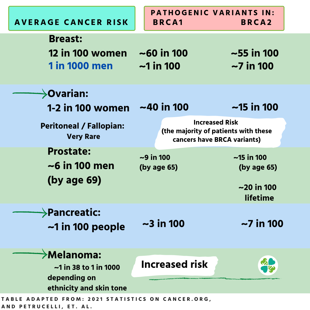 BRCA Genes: Linking Breast, Ovarian, and Prostate Cancer — Clover Genetics