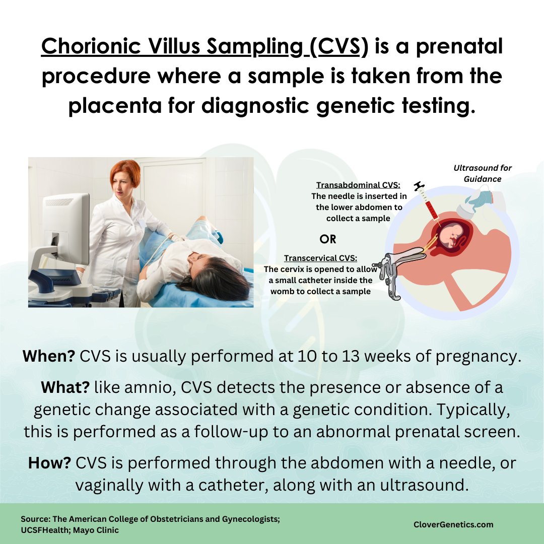 Prenatal and Fetal Testing — Clover Genetics