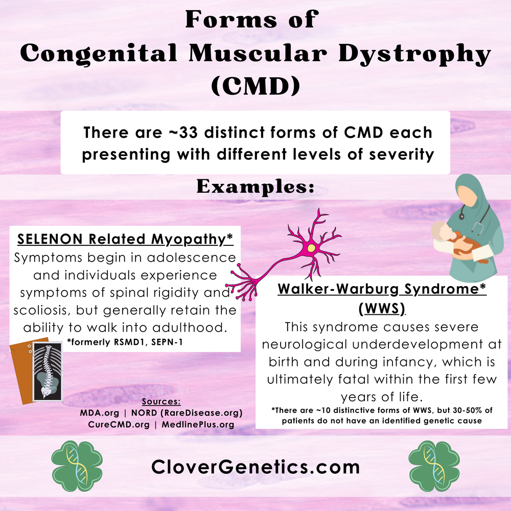 Telehealth Genetic Counseling Services (EDS, Cancer Risk, Prenatal ...