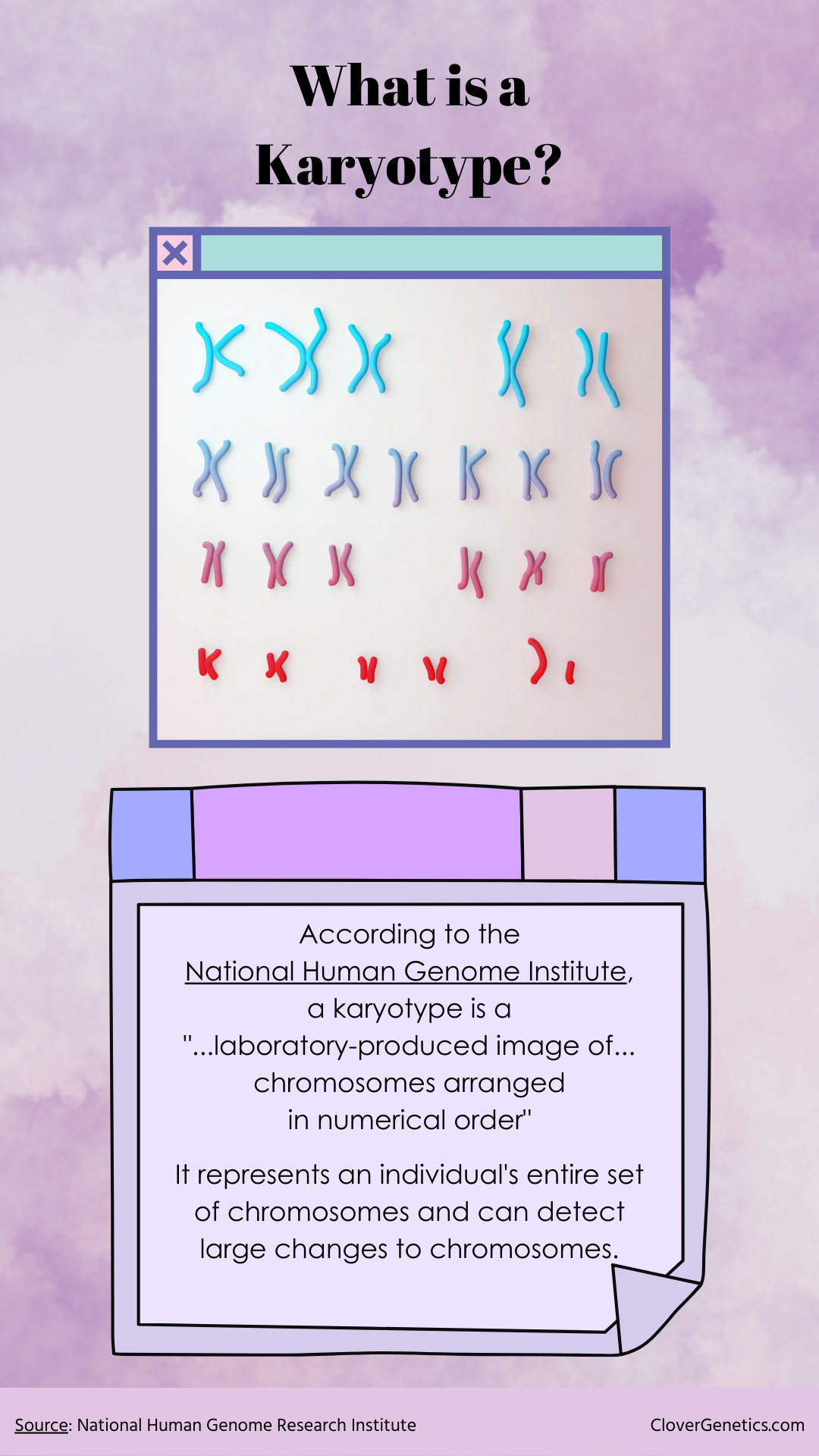 Aneuploidies — Clover Genetics