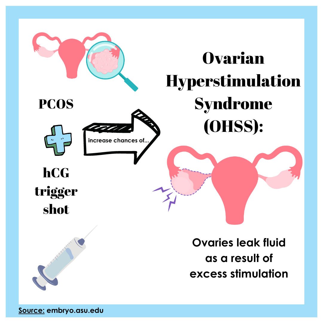 IVF to Baby, and Everything In Between — Clover Genetics