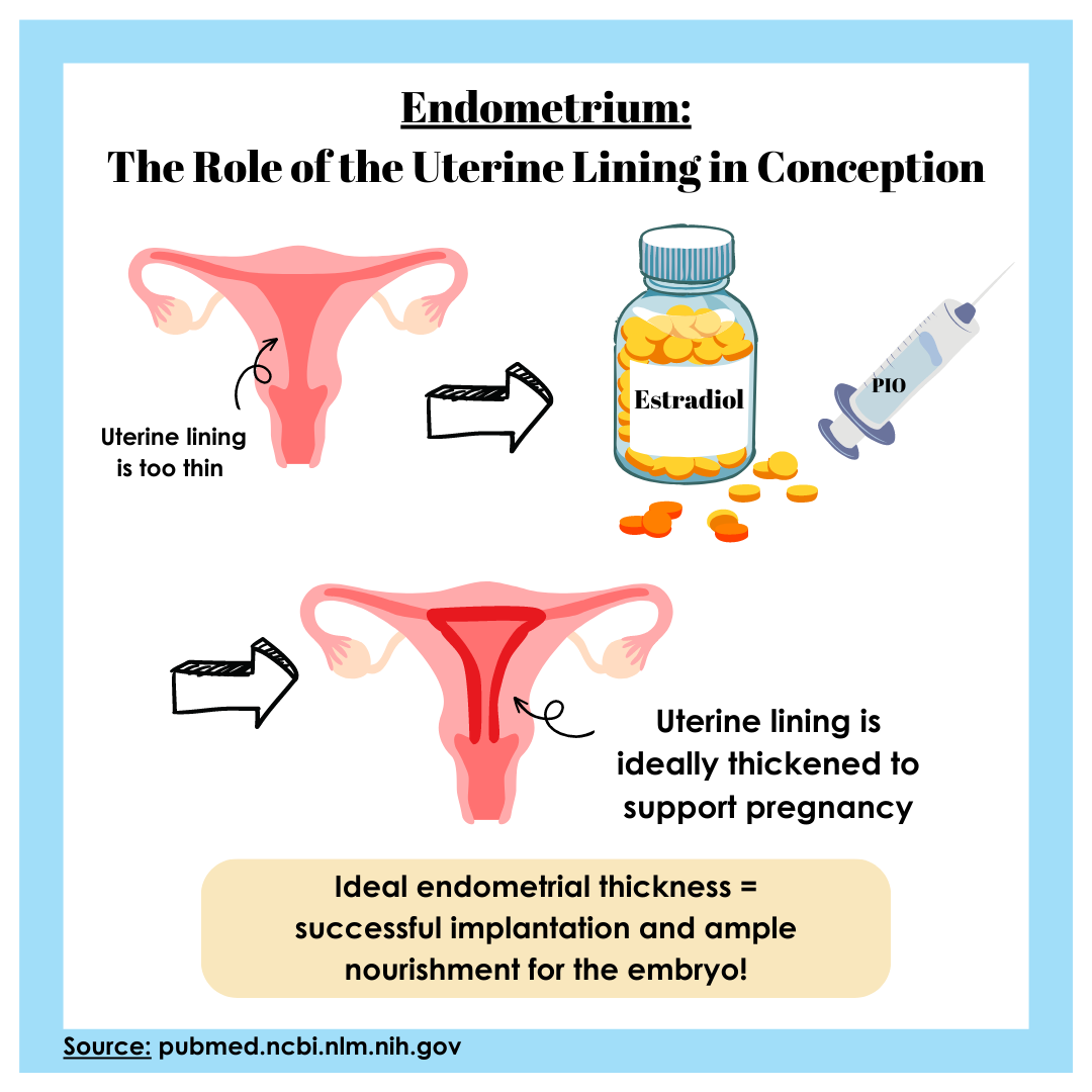 IVF to Baby, and Everything In Between — Clover Genetics